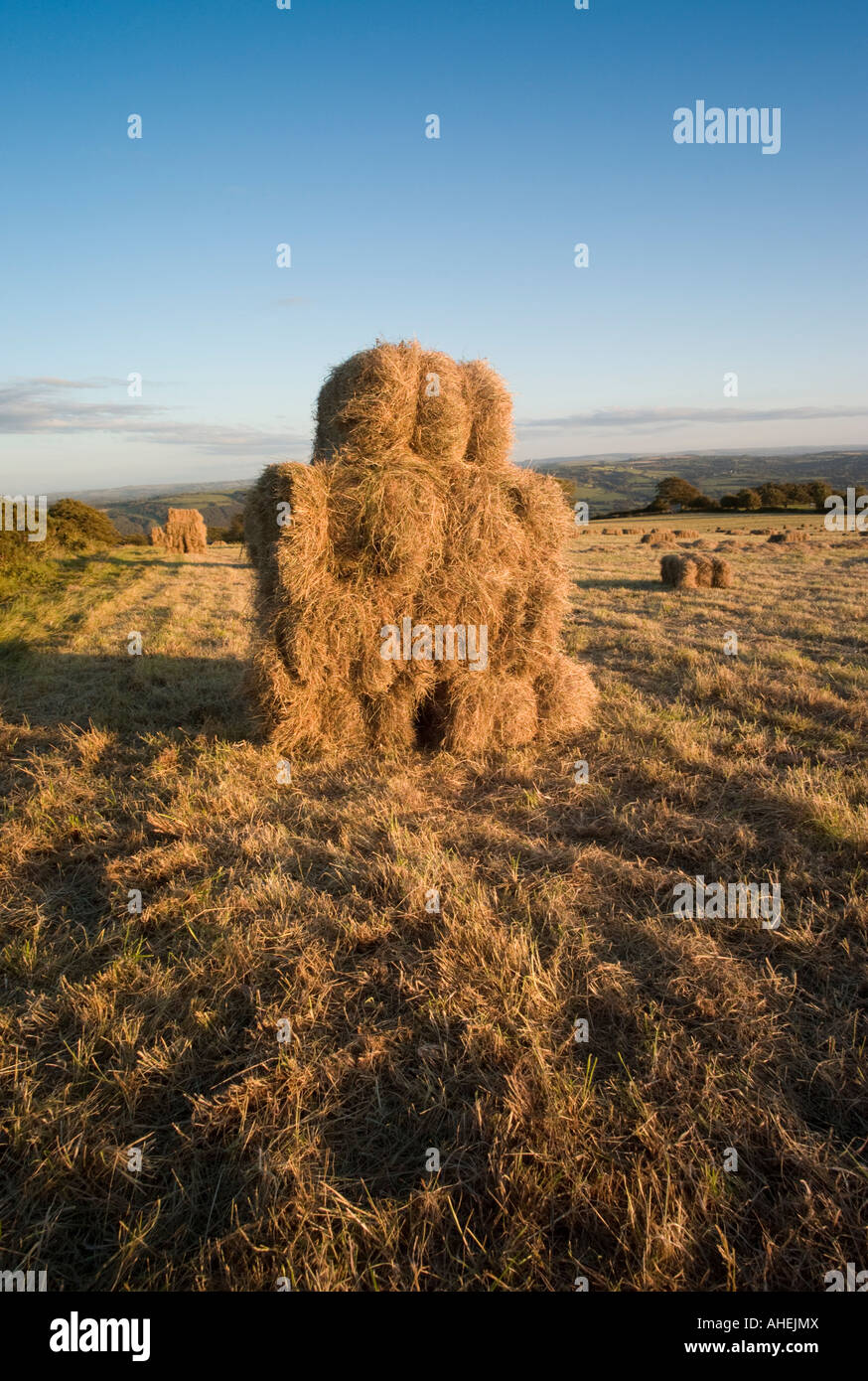 old fashioned traditional oblong rectangular bales of hay stacked in ...