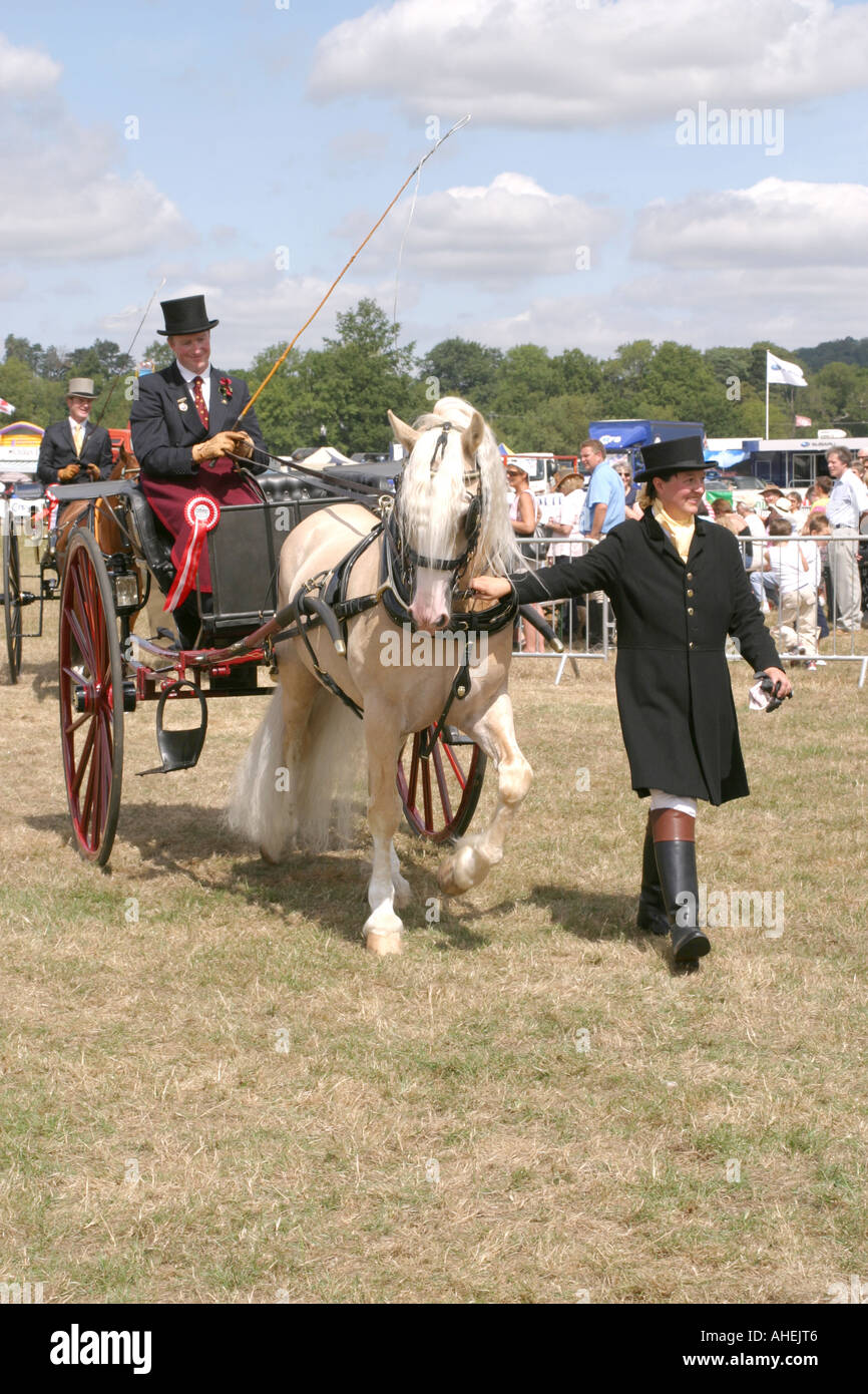 The Cranleigh Show August 2006 Stock Photo - Alamy