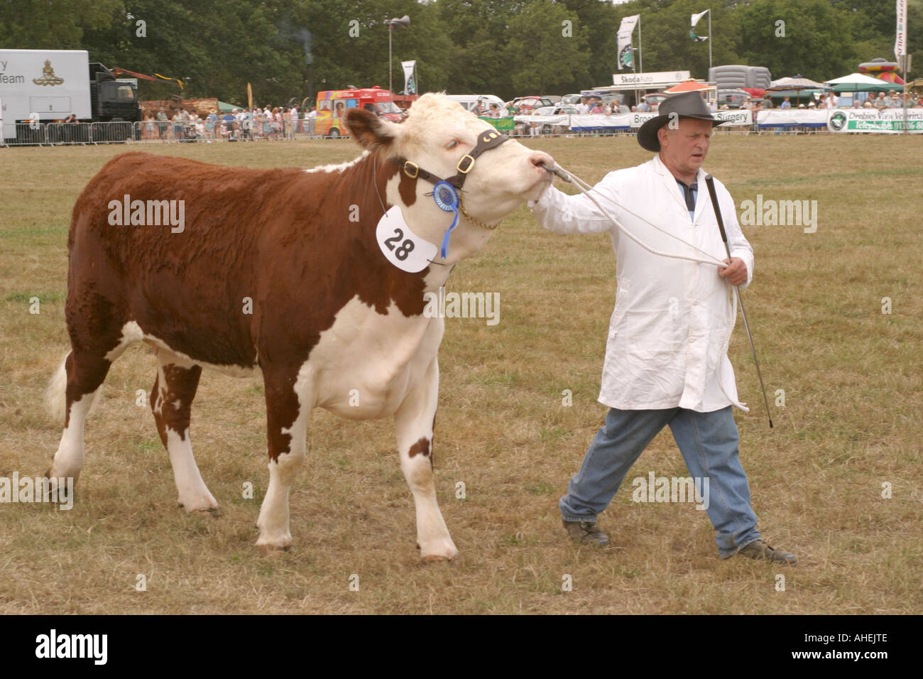 The Cranleigh Show August 2006 Stock Photo - Alamy