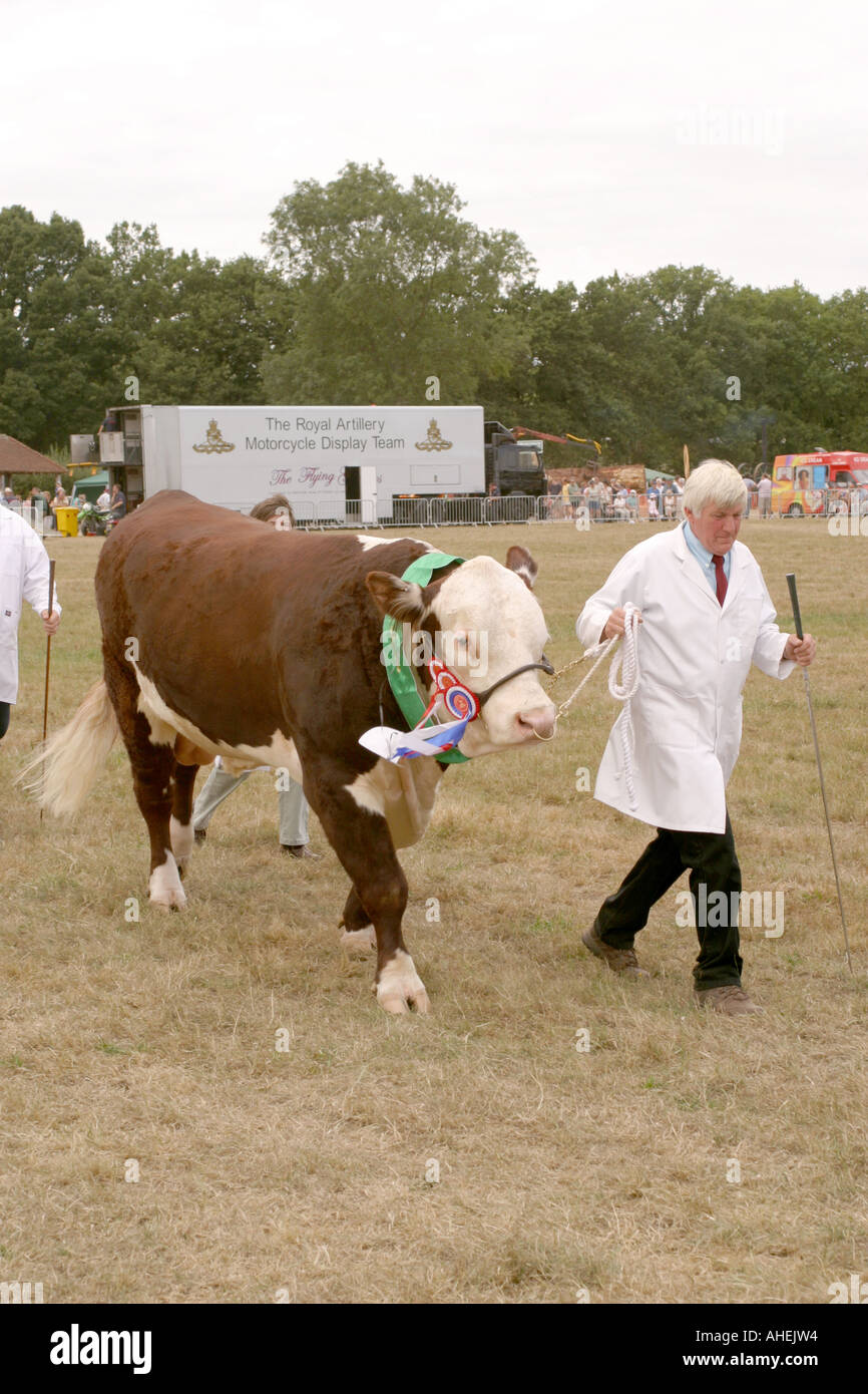 The Cranleigh Show August 2006 Stock Photo - Alamy
