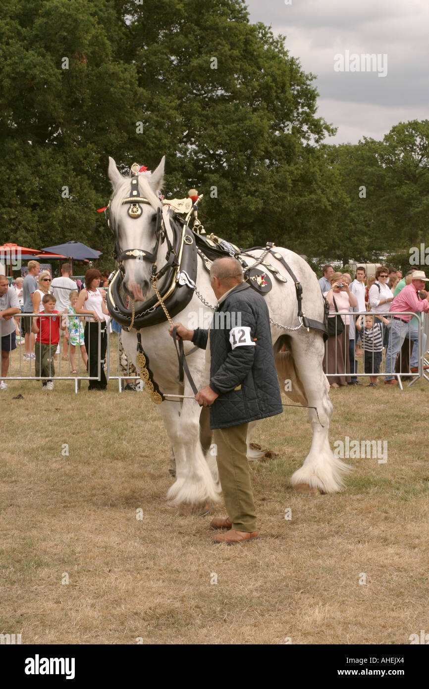 The Cranleigh Show August 2006 Stock Photo - Alamy