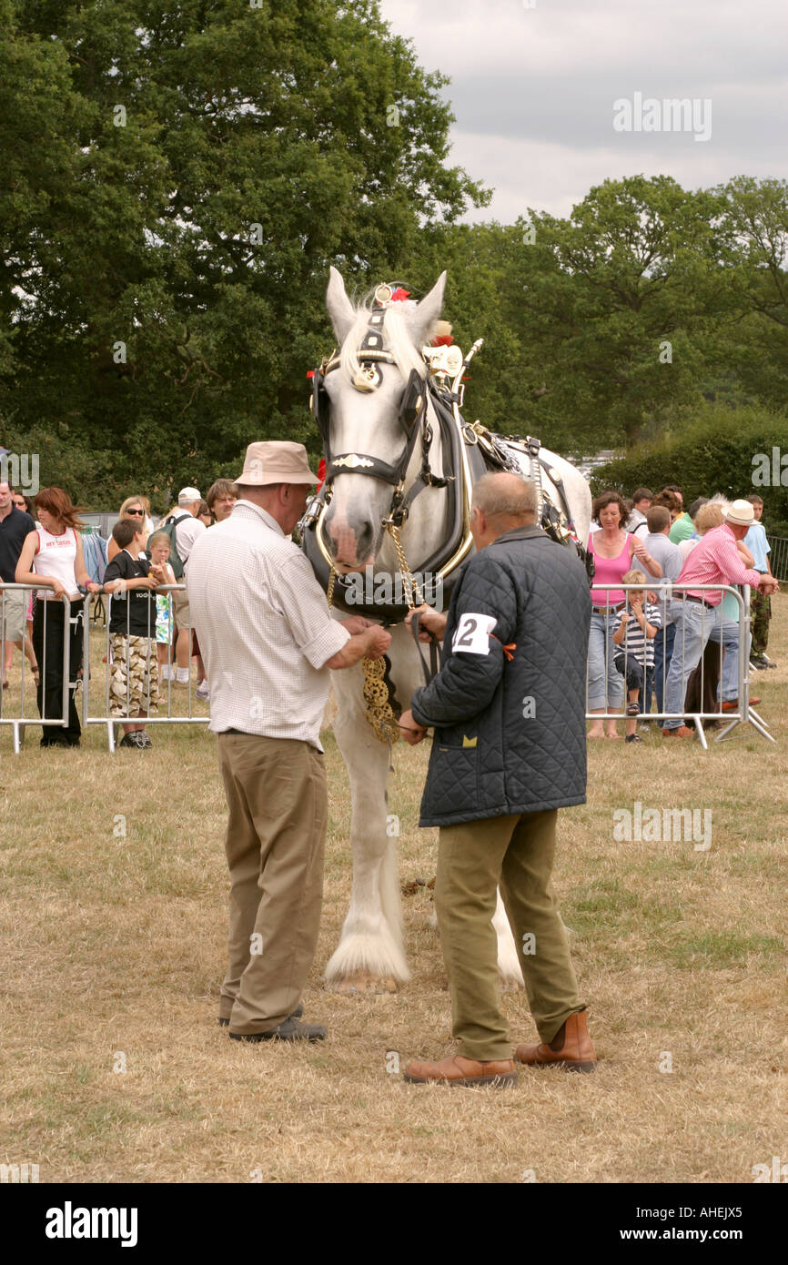 The Cranleigh Show August 2006 Stock Photo - Alamy