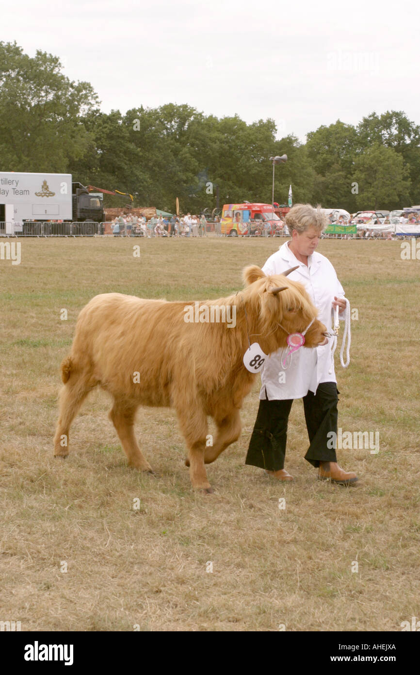 Cranleigh agricultural show hi-res stock photography and images - Alamy
