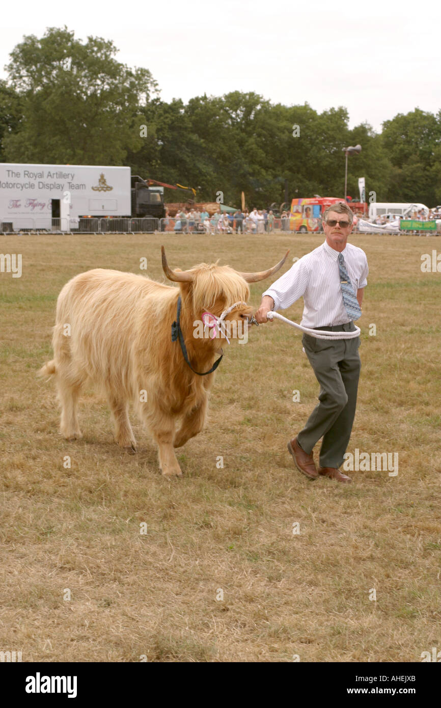 The Cranleigh Show August 2006 Stock Photo - Alamy
