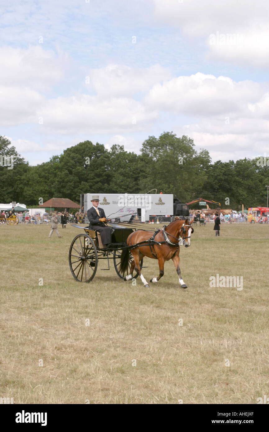 The Cranleigh Show August 2006 Stock Photo - Alamy