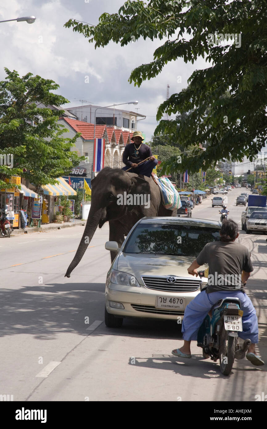 Elephant with elephant elephant Mahout rider riding it along / on the ...