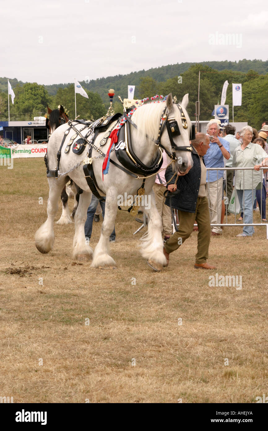 The Cranleigh Show August 2006 Stock Photo - Alamy