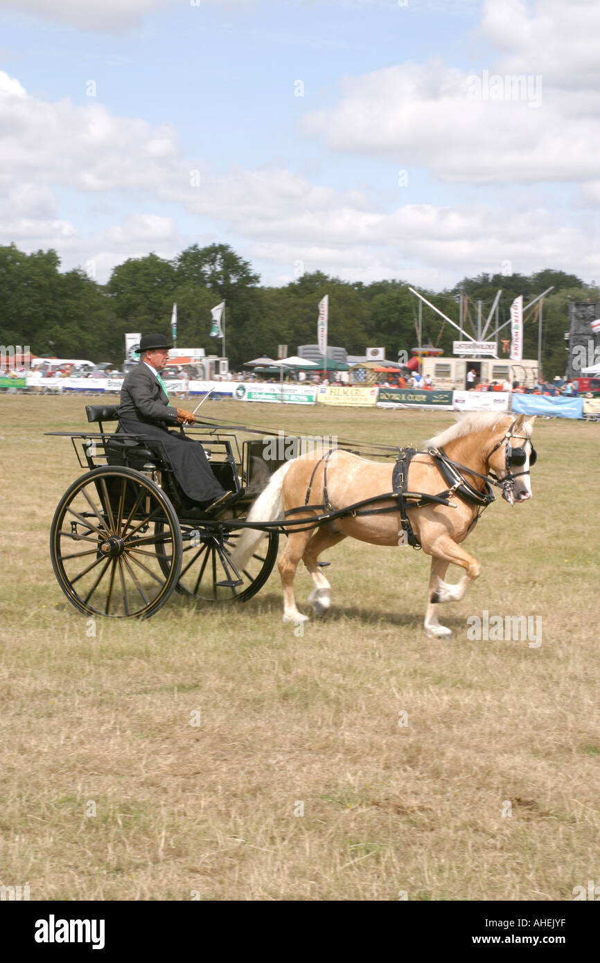 The Cranleigh Show August 2006 Stock Photo - Alamy