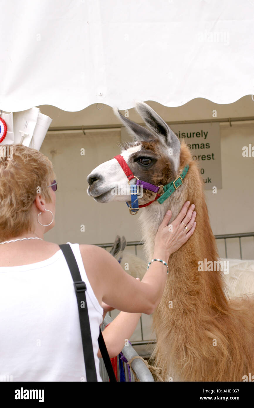 The Cranleigh Show August 2006 Stock Photo - Alamy
