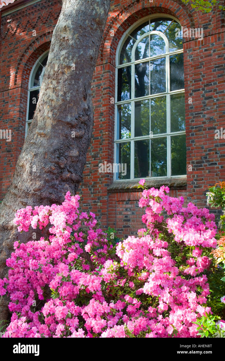 California State University Chico campus in the spring Stock Photo - Alamy