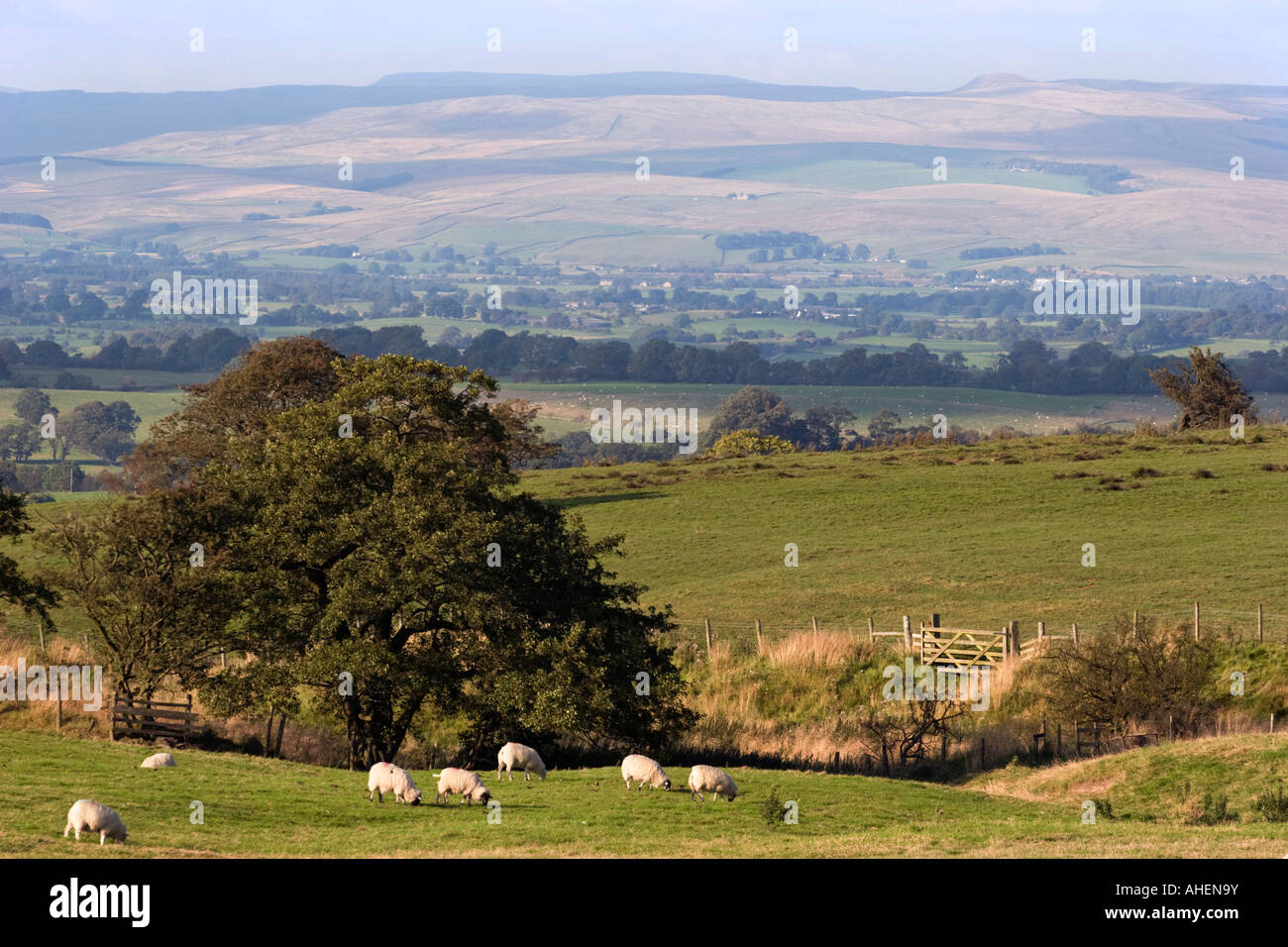 The Ribble Valley in Lancashire near Clitheroe Stock Photo - Alamy
