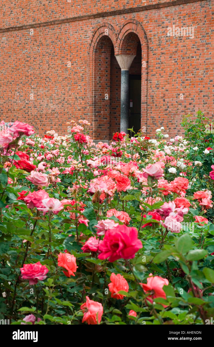California State University Chico campus in the spring Stock Photo - Alamy