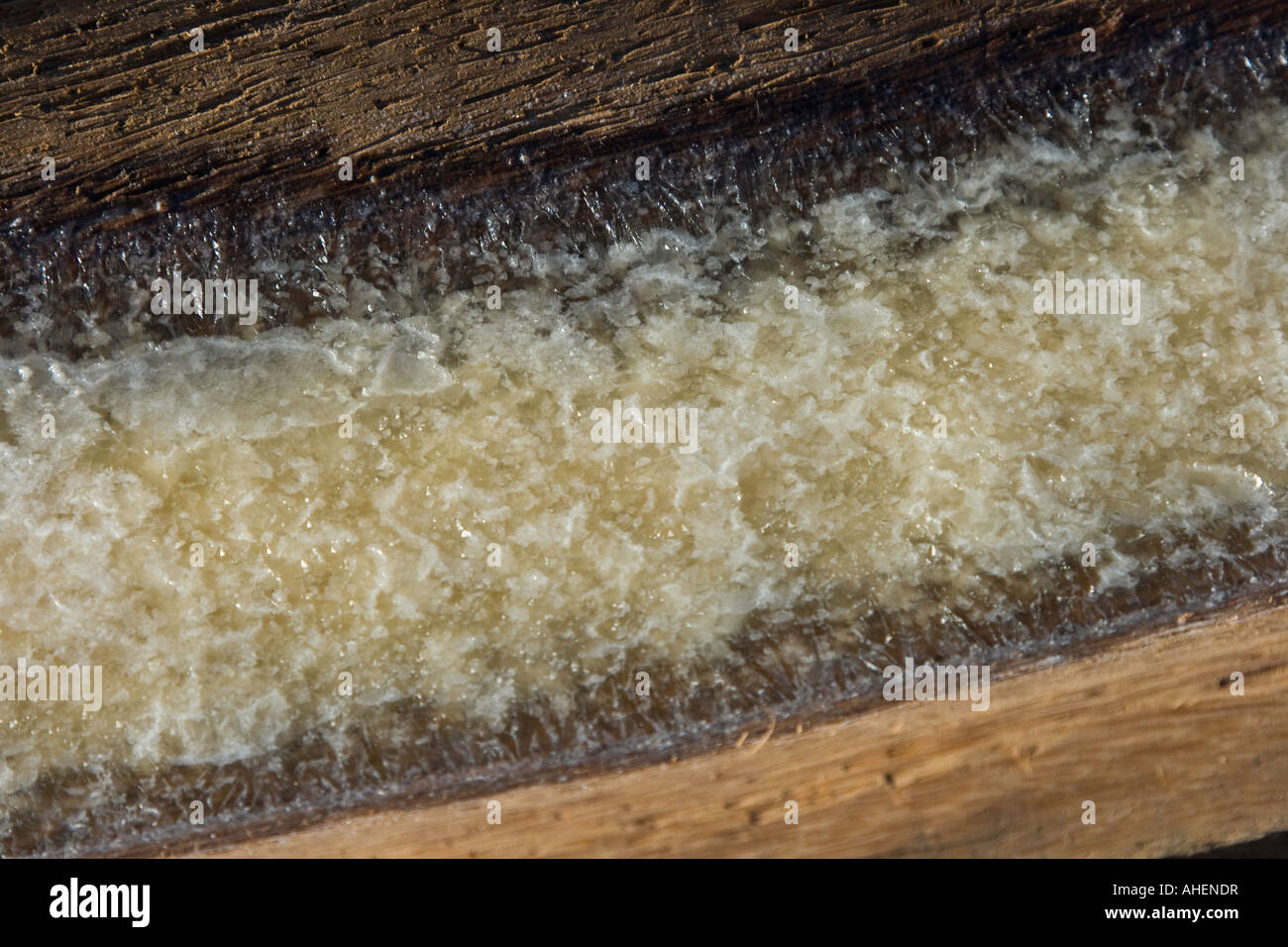 Troughs of Artisanal Salt Production Amed Bali Indonesia Stock Photo ...