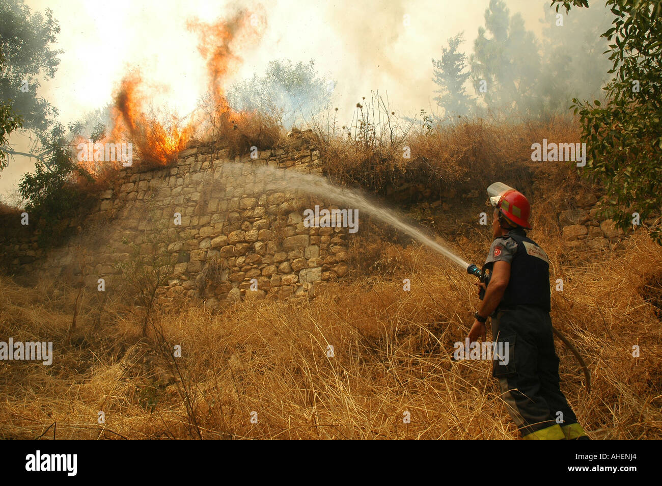 Fireman putting out fire during massive forest fire in Galilee region ...