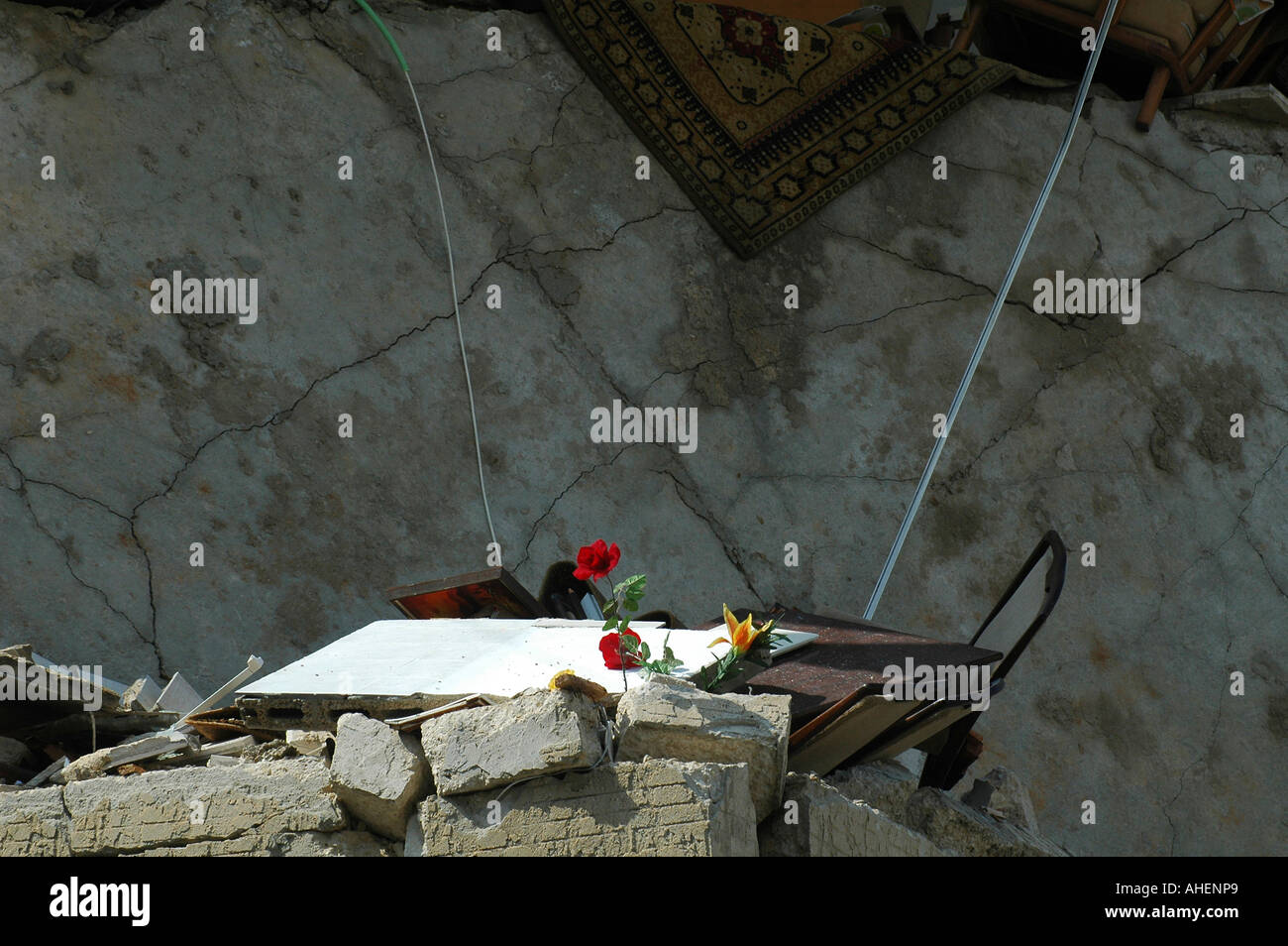 Flower from rubble hi-res stock photography and images - Alamy