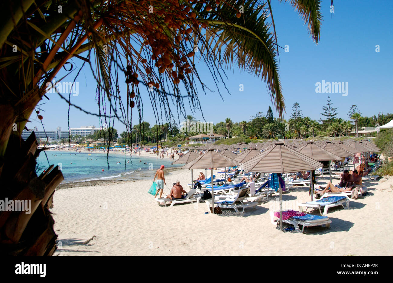 Umbrellas sunbeds Nissi Beach Ayia Napa on the Mediterranean island of ...