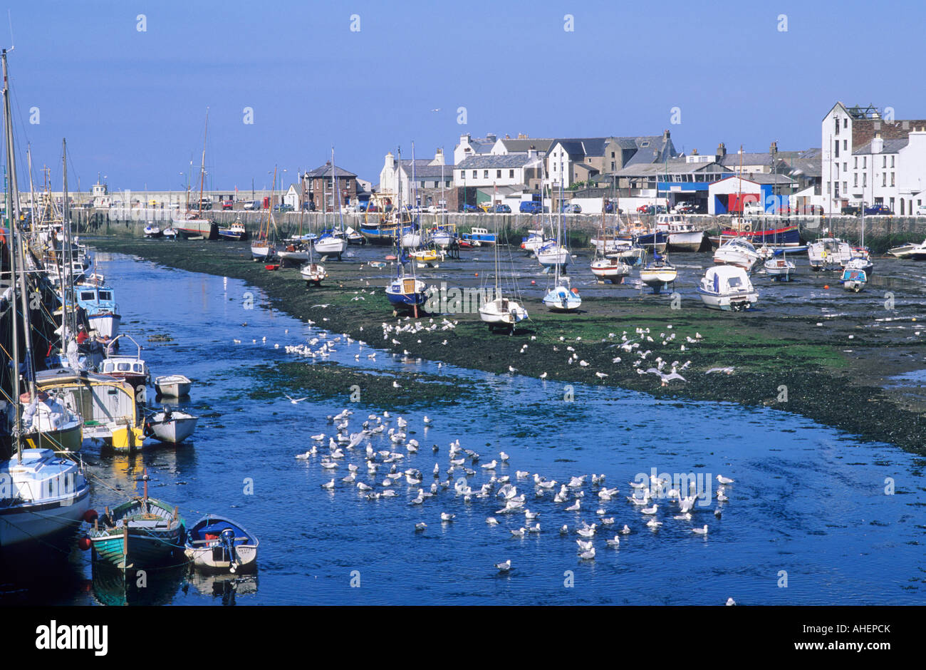 Peel Harbour river estuary seagulls Isle of Man, Manx port and town ...