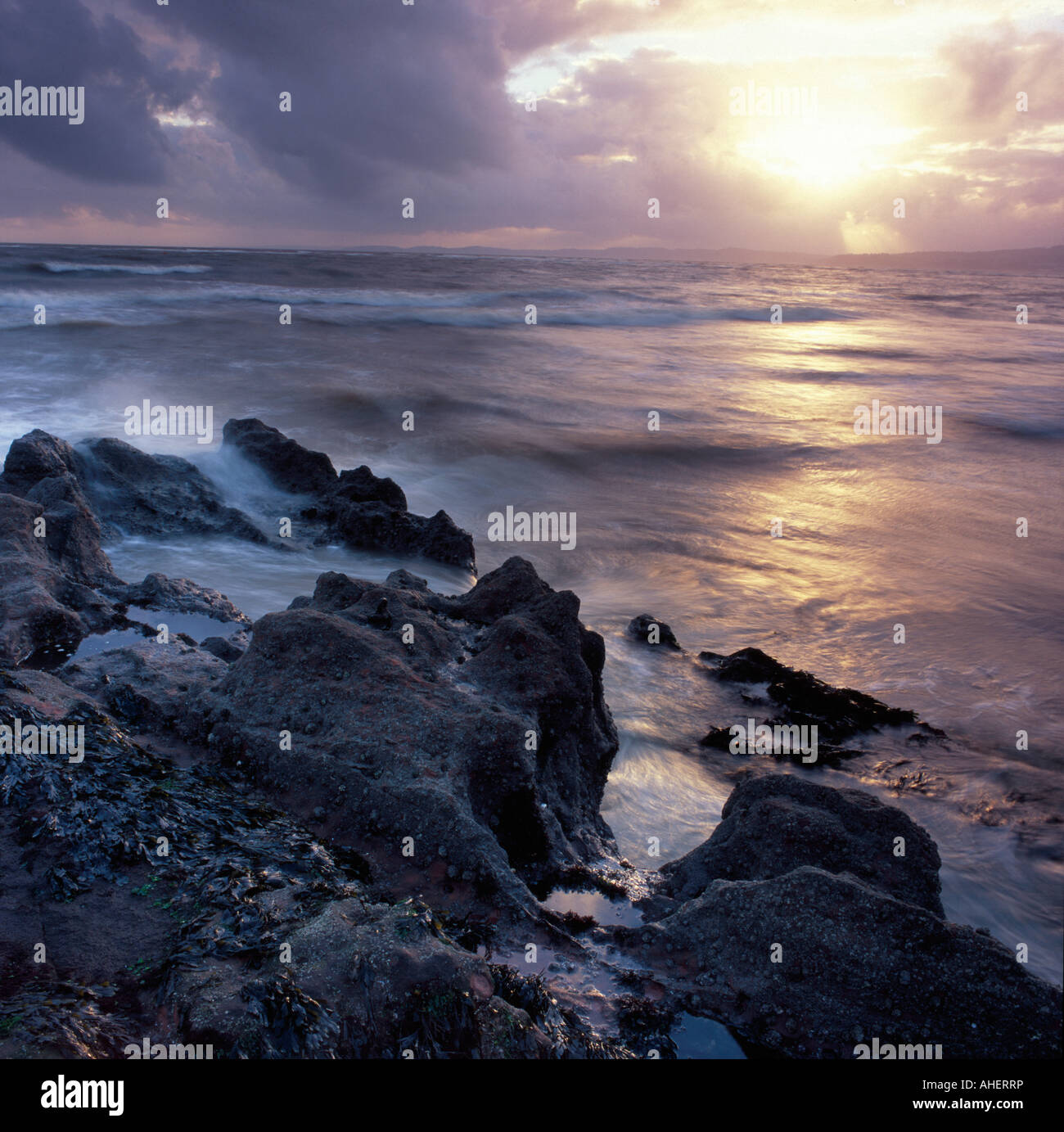 Orcombe rocks devon hi-res stock photography and images - Alamy