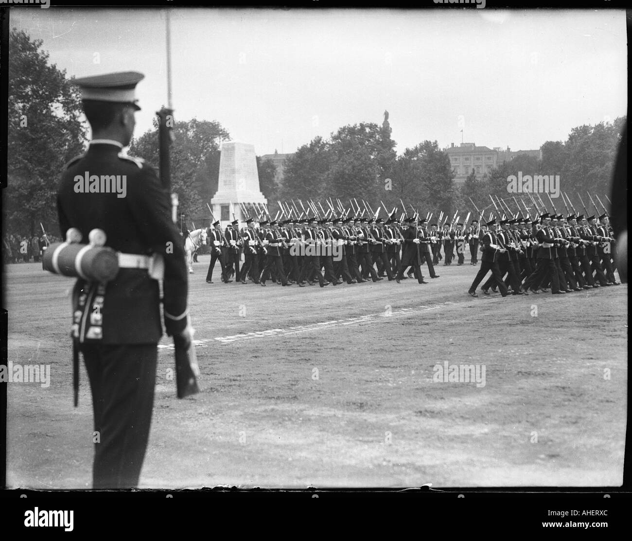 Monarch on parade Black and White Stock Photos & Images - Alamy