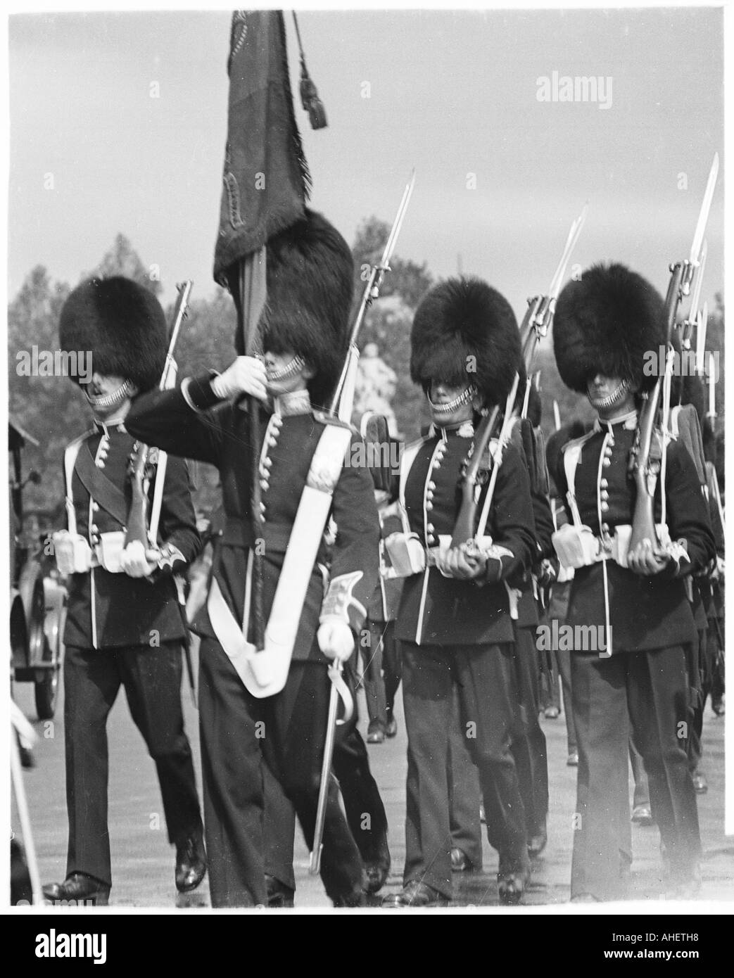 Bearskin busby Black and White Stock Photos & Images - Alamy