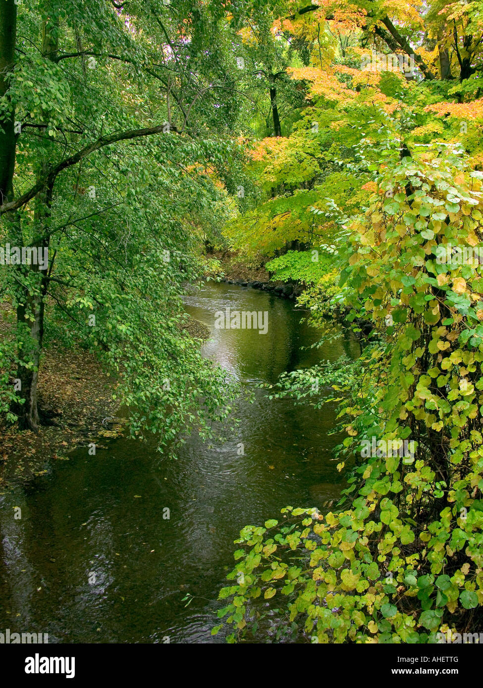 California state university chico hi-res stock photography and images ...