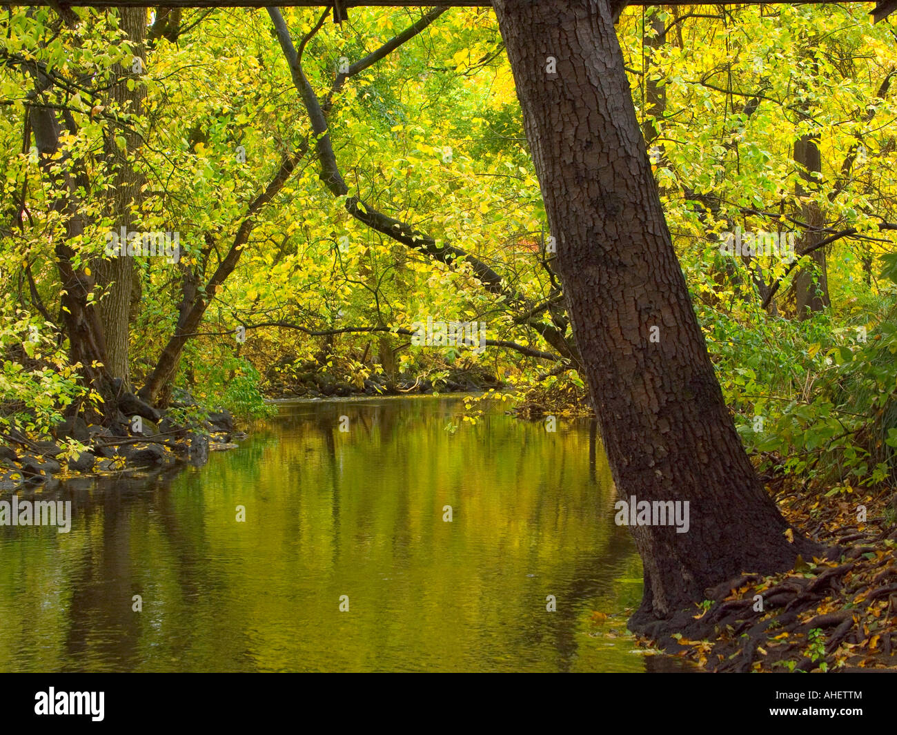 Chico state university hi-res stock photography and images - Alamy