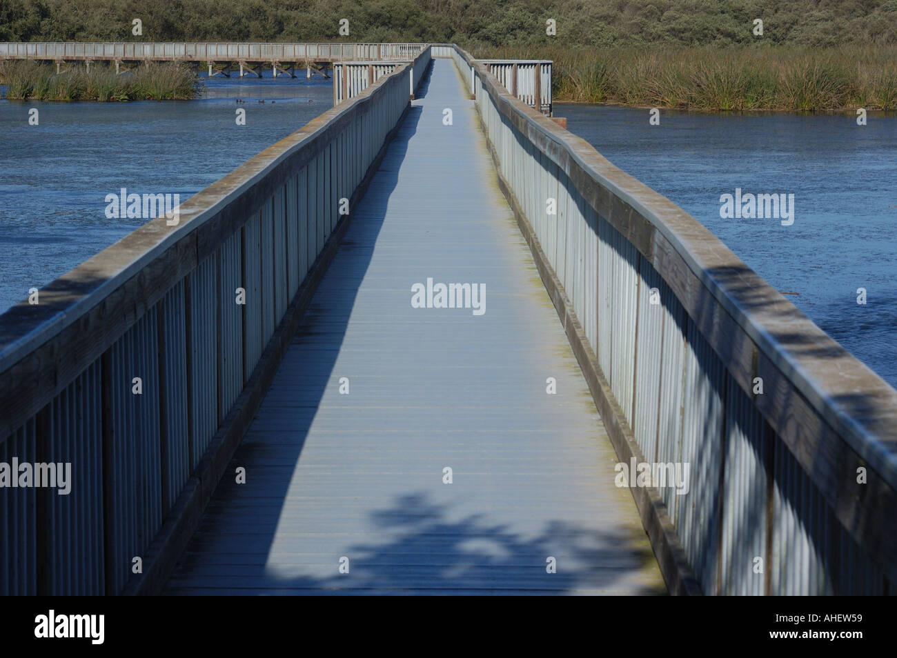 Oso Flaco Lake Nature Preserve Stock Photo - Alamy