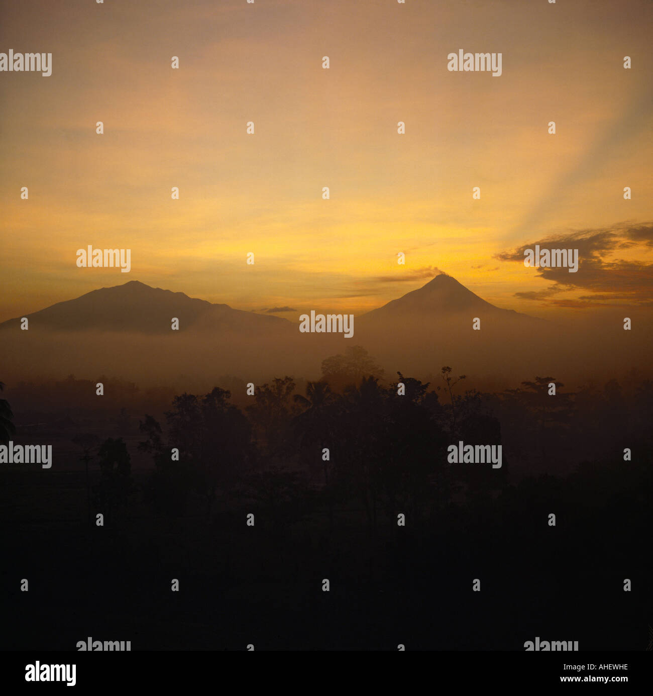 Sunrise over treetops looking towards the volcanic Mount Merapi from ...