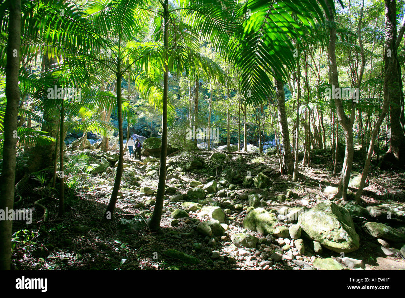 Walk in hi-res stock photography and images - Alamy