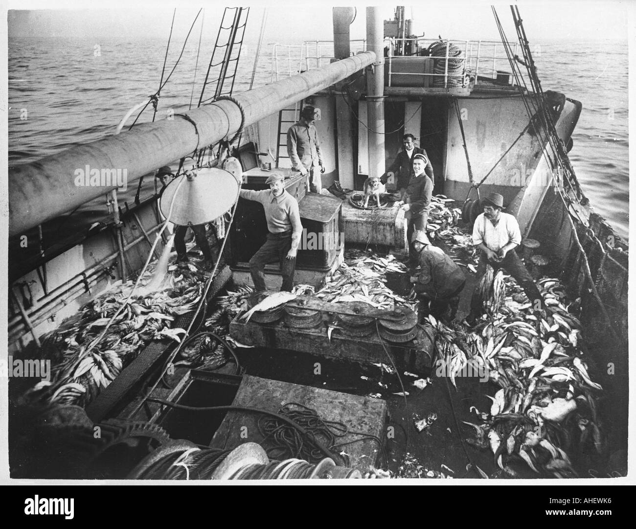 Australian fishing trawler hi-res stock photography and images - Alamy