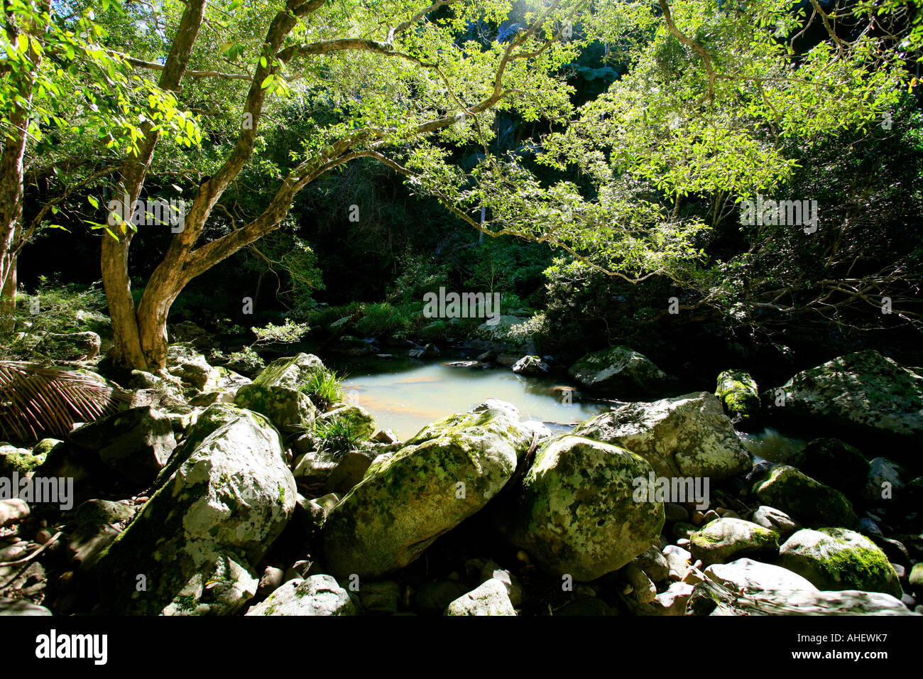Byron bay bush walk hi-res stock photography and images - Alamy