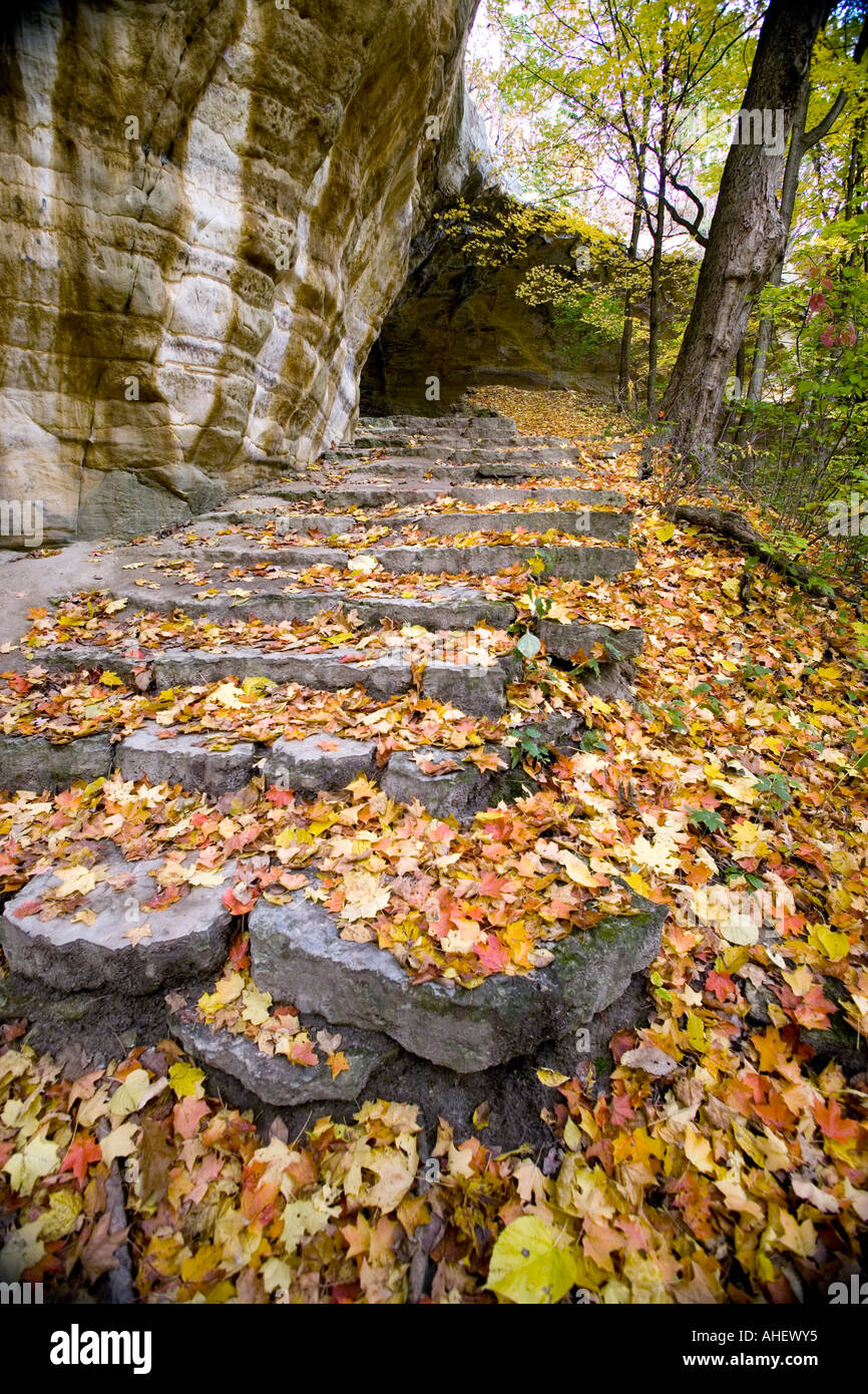 Hiking trail covered with fall leaves in Starved Rock State Park Stock ...