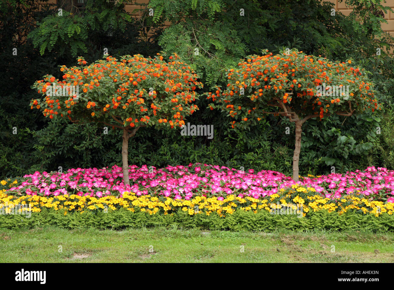 Colourful flower plantation in Nykoping Sweden Stock Photo - Alamy