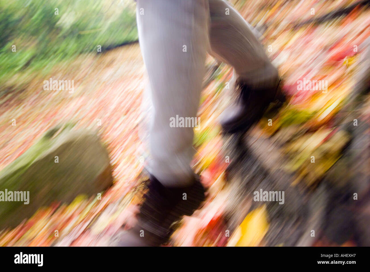 Hiking in Fall Forest Stock Photo - Alamy