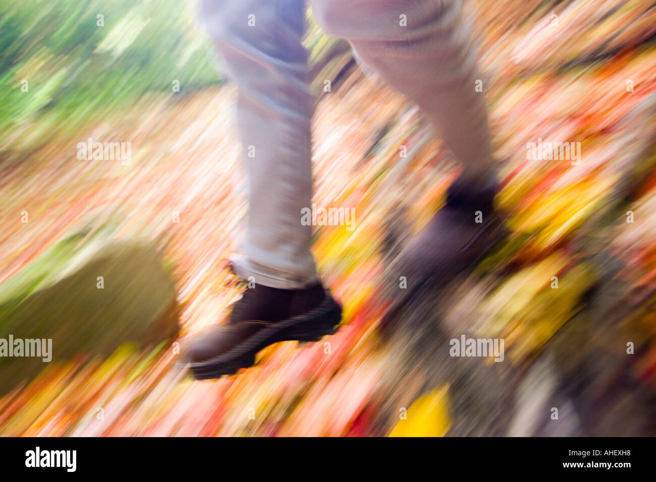 Hiking in Fall Forest Stock Photo - Alamy