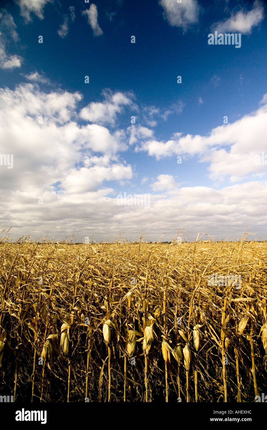 Desolate Field High Resolution Stock Photography and Images - Alamy