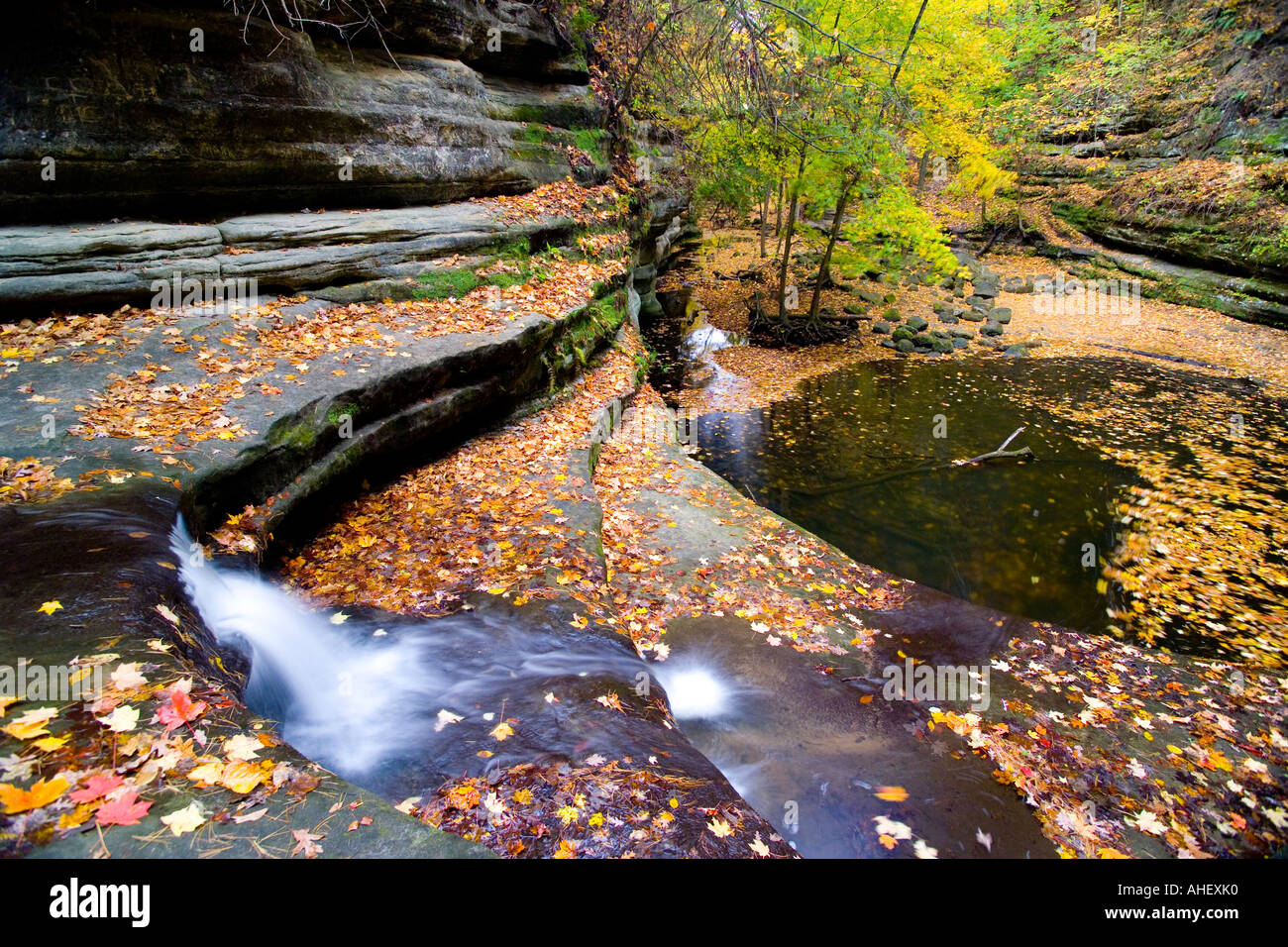Matthiessen State Park best time for fall colors - State Parks
