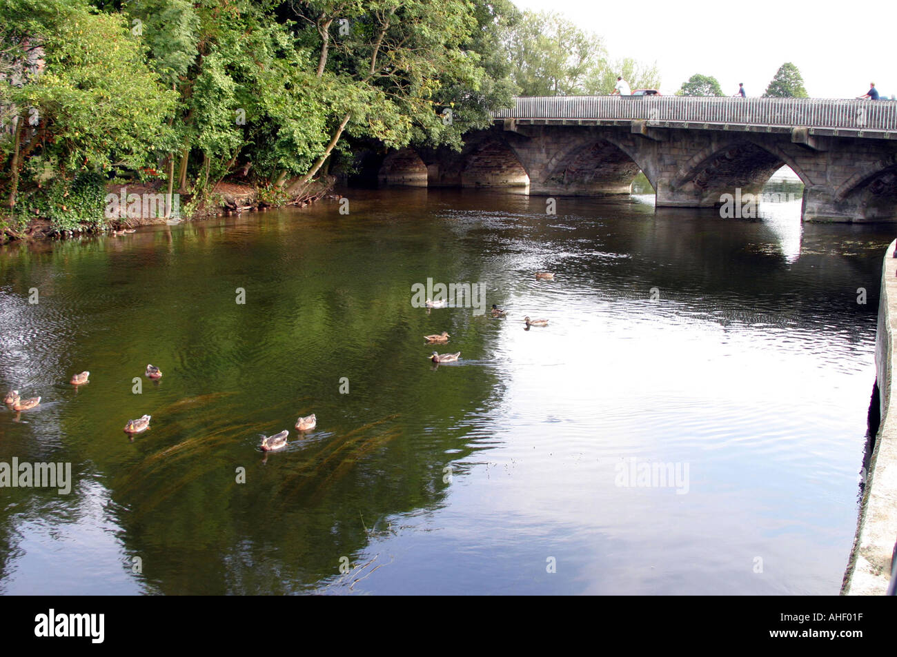 New forest water park fordingbridge hi-res stock photography and images ...