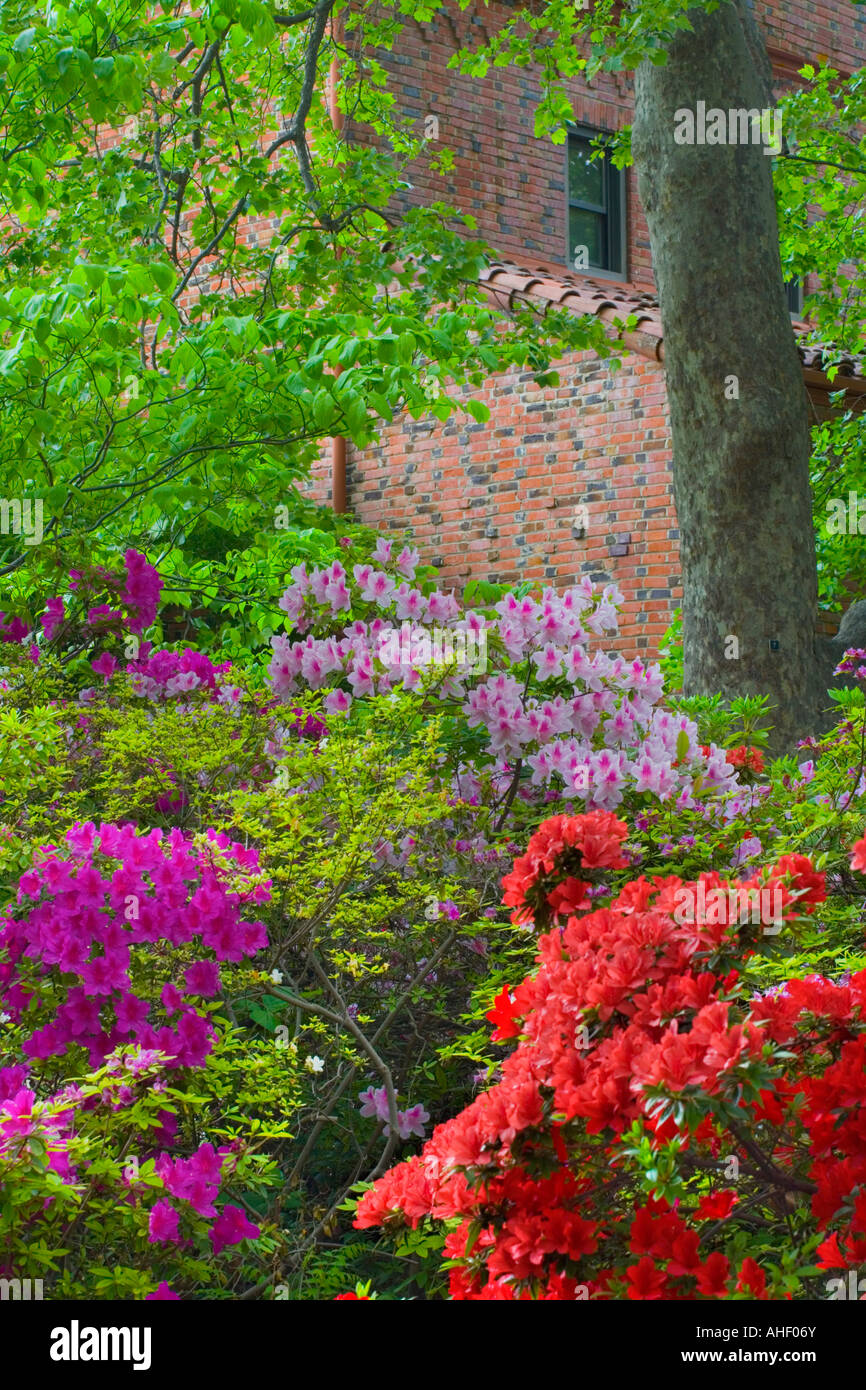 California State University Chico campus in the spring Stock Photo - Alamy
