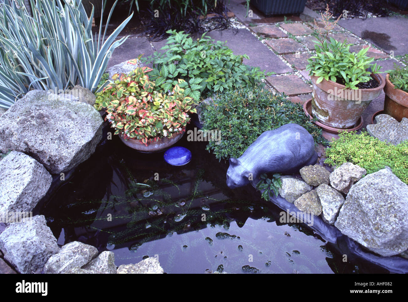 Small Wildlife pond Stock Photo - Alamy