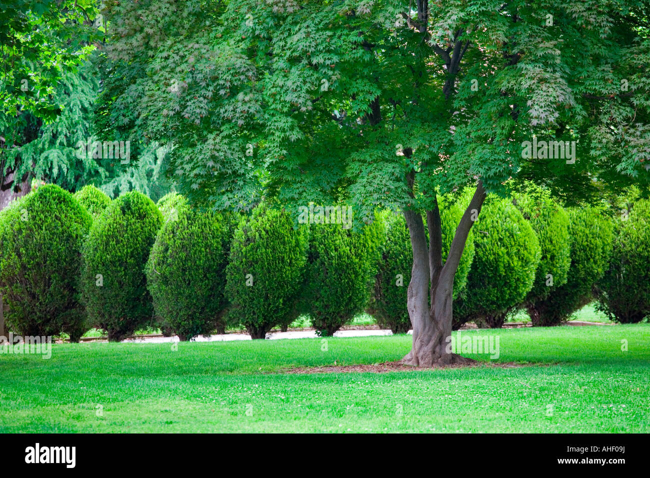 California State University Chico campus in the spring Stock Photo - Alamy