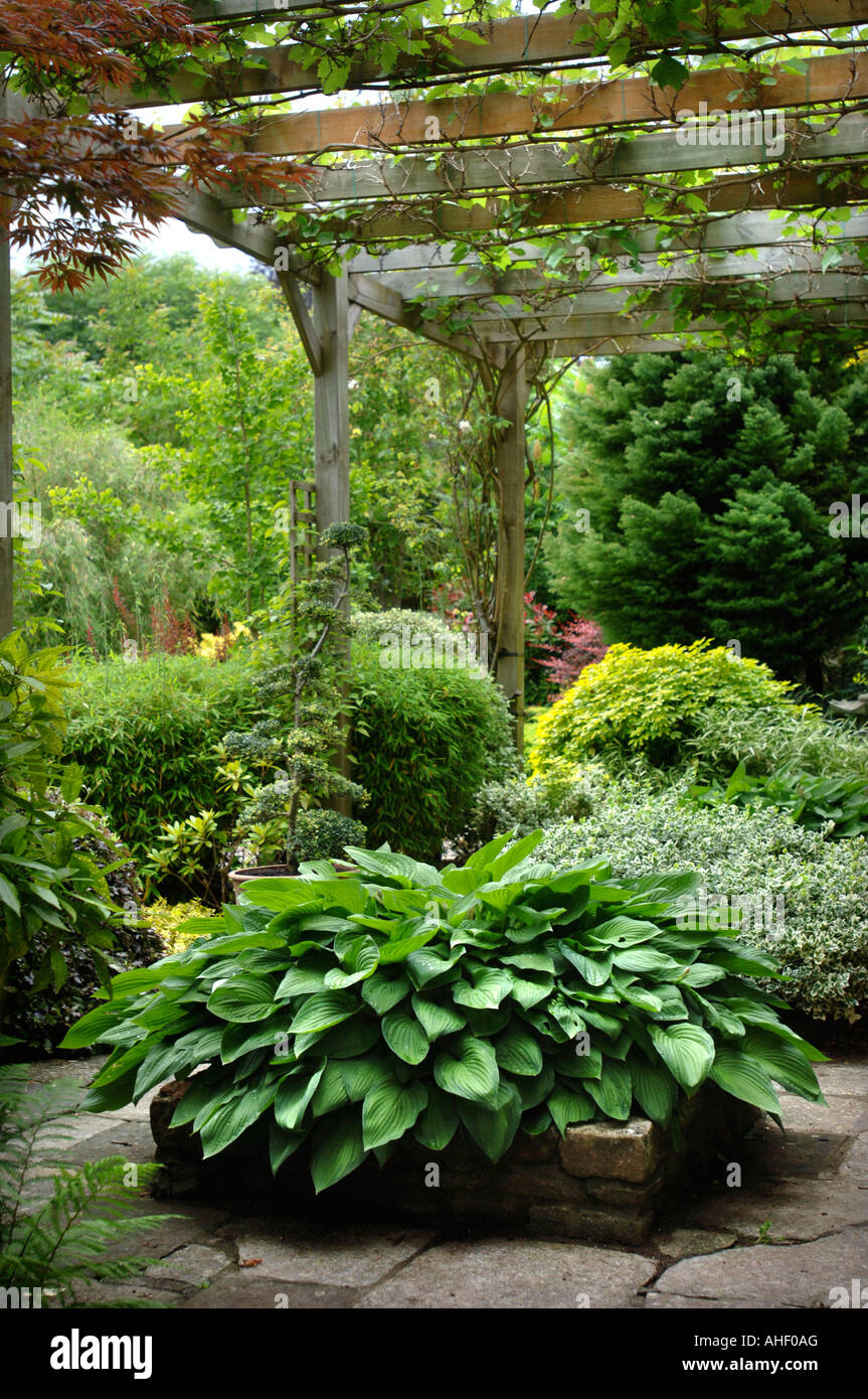 Hostas and ferns hi-res stock photography and images - Alamy