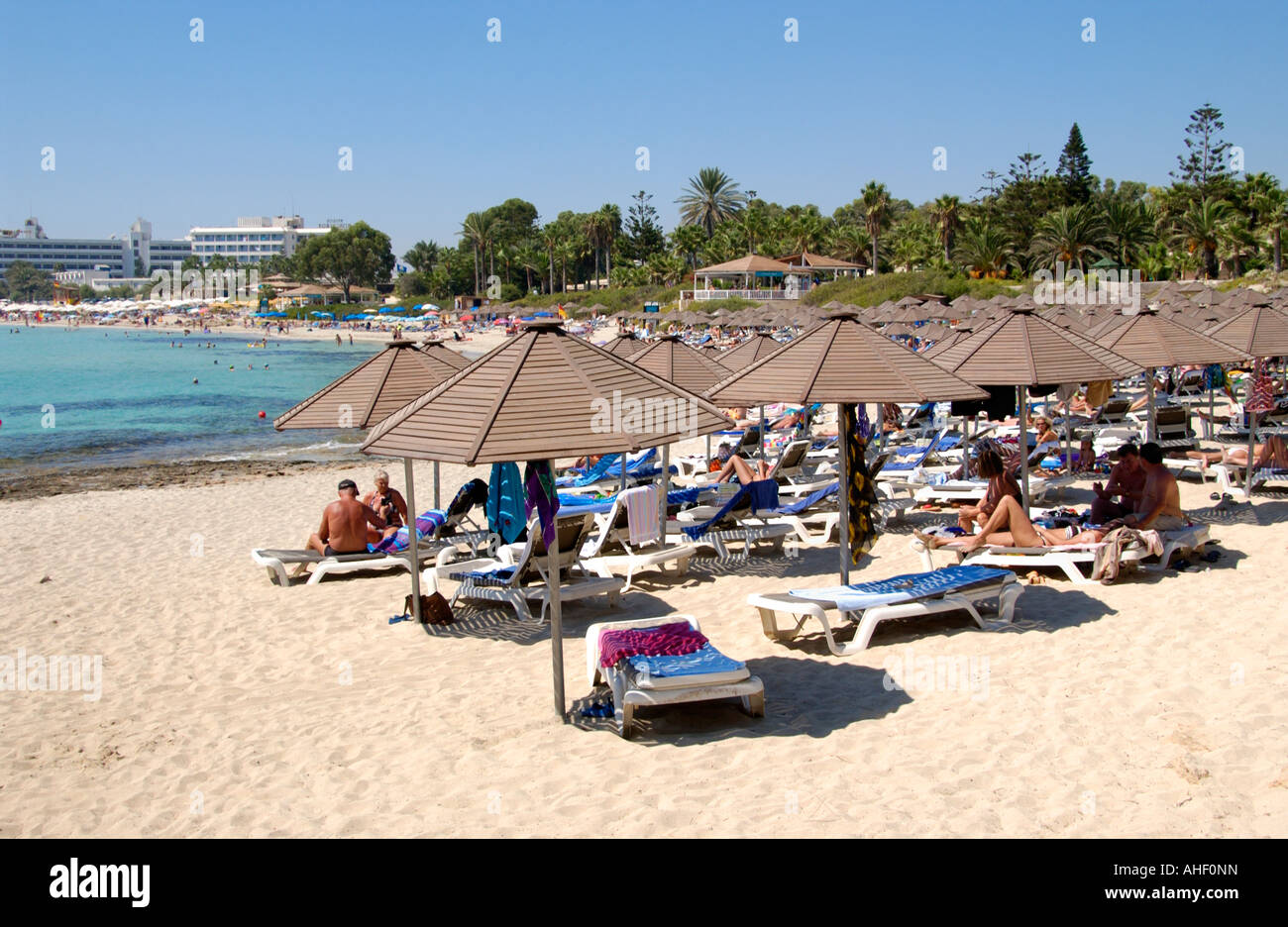 Cyprus beach holiday Umbrellas sunbeds Nissi Beach Ayia Napa on the ...