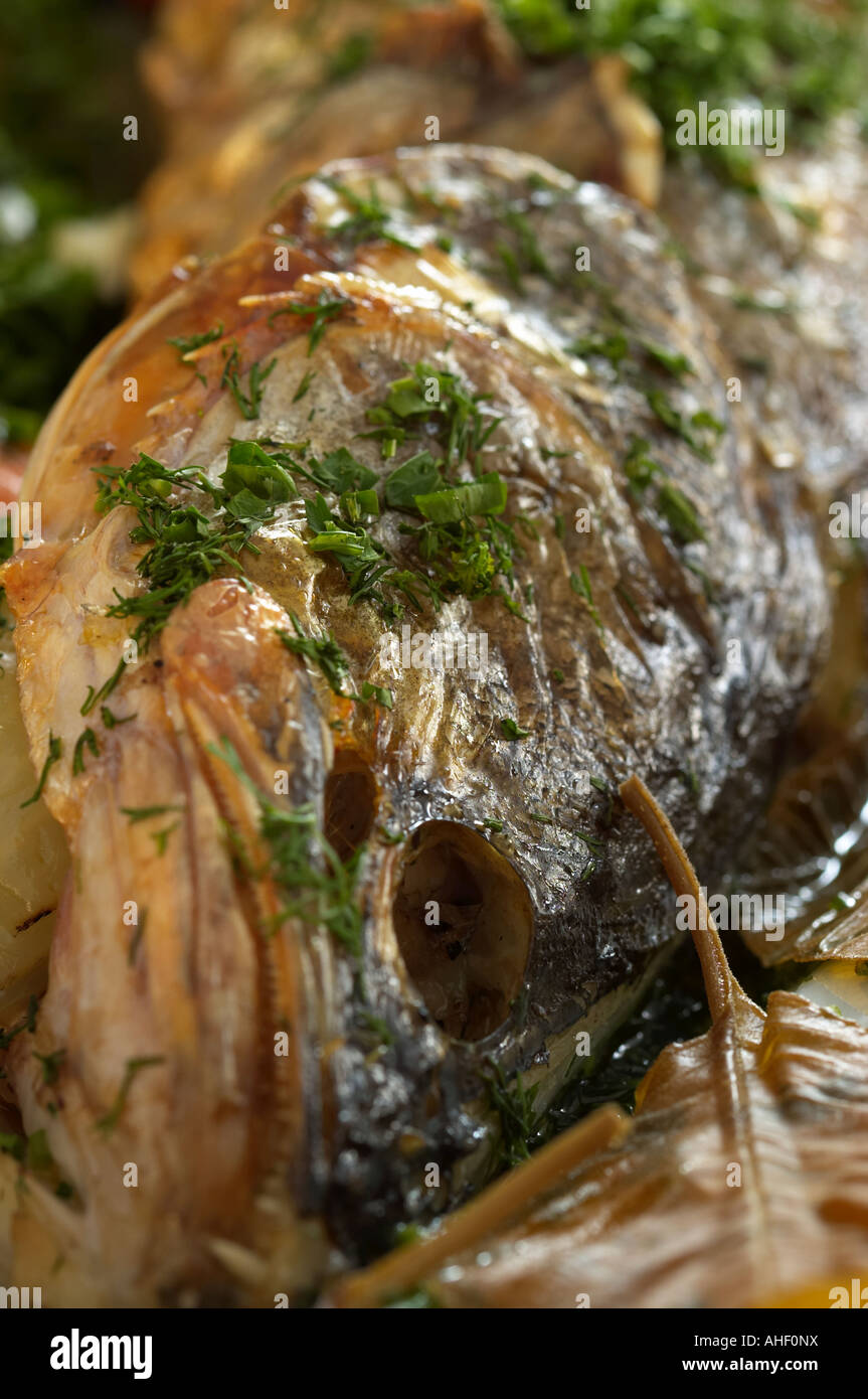 Pike dishes, plate macro 2 Stock Photo - Alamy