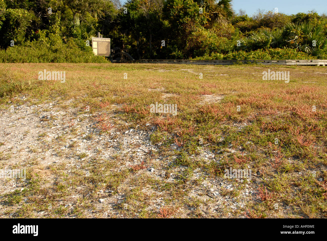 Florida Canaveral National Seashore shells at Turtle Mound Stock Photo ...