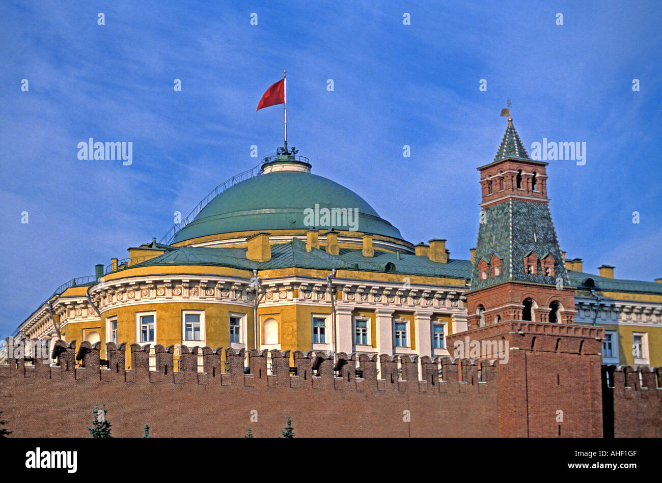 Tim wall hi-res stock photography and images - Alamy