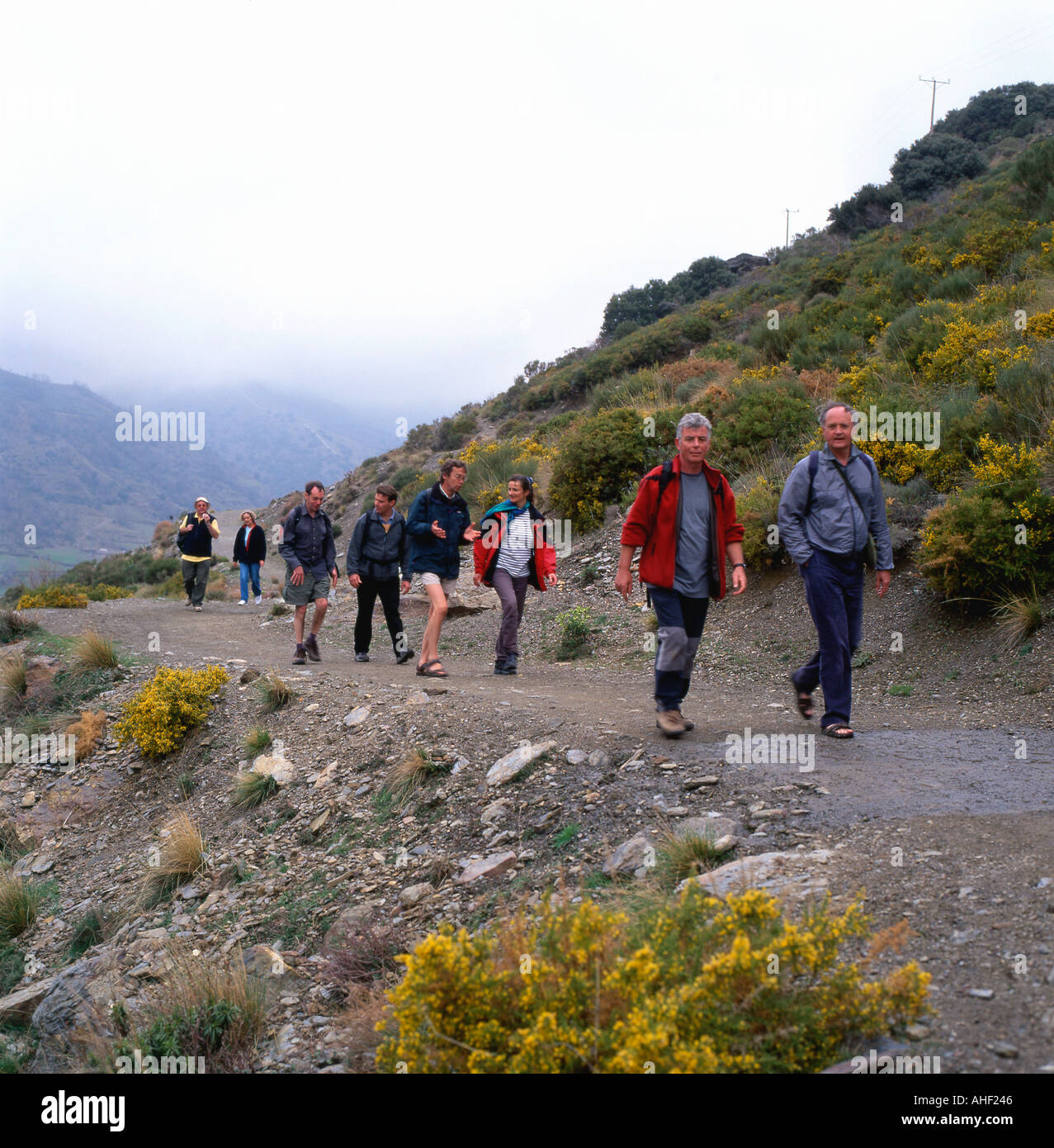 Group of people walking on a rural route near Capileira in the ...