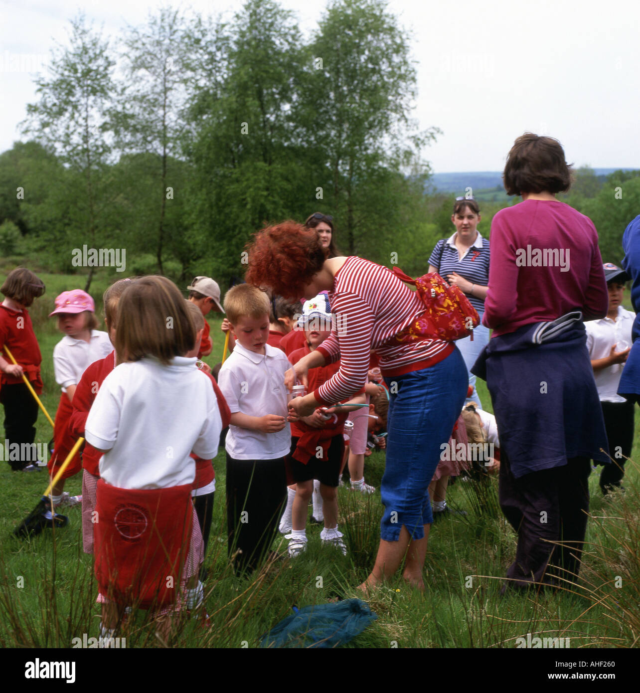Primary school children with butterfly nets and teachers on nature walk ...