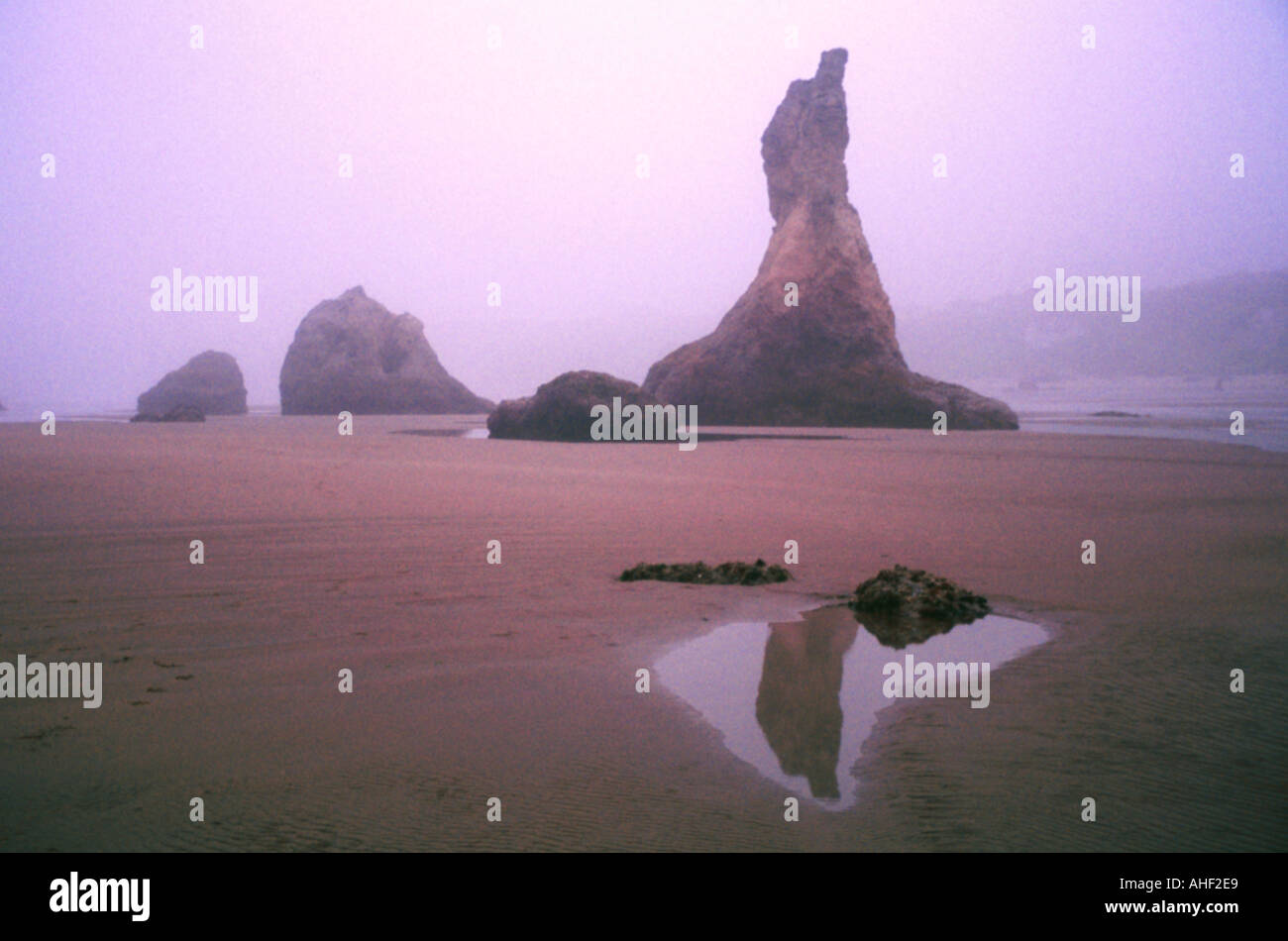 The reflection in a tide pool gives a mirror image to the pointed rock ...