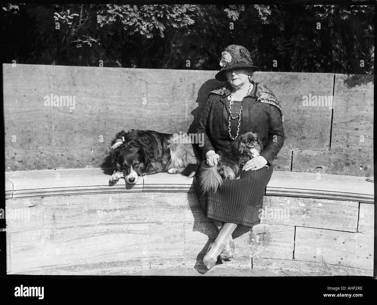 Countess frances hi-res stock photography and images - Alamy